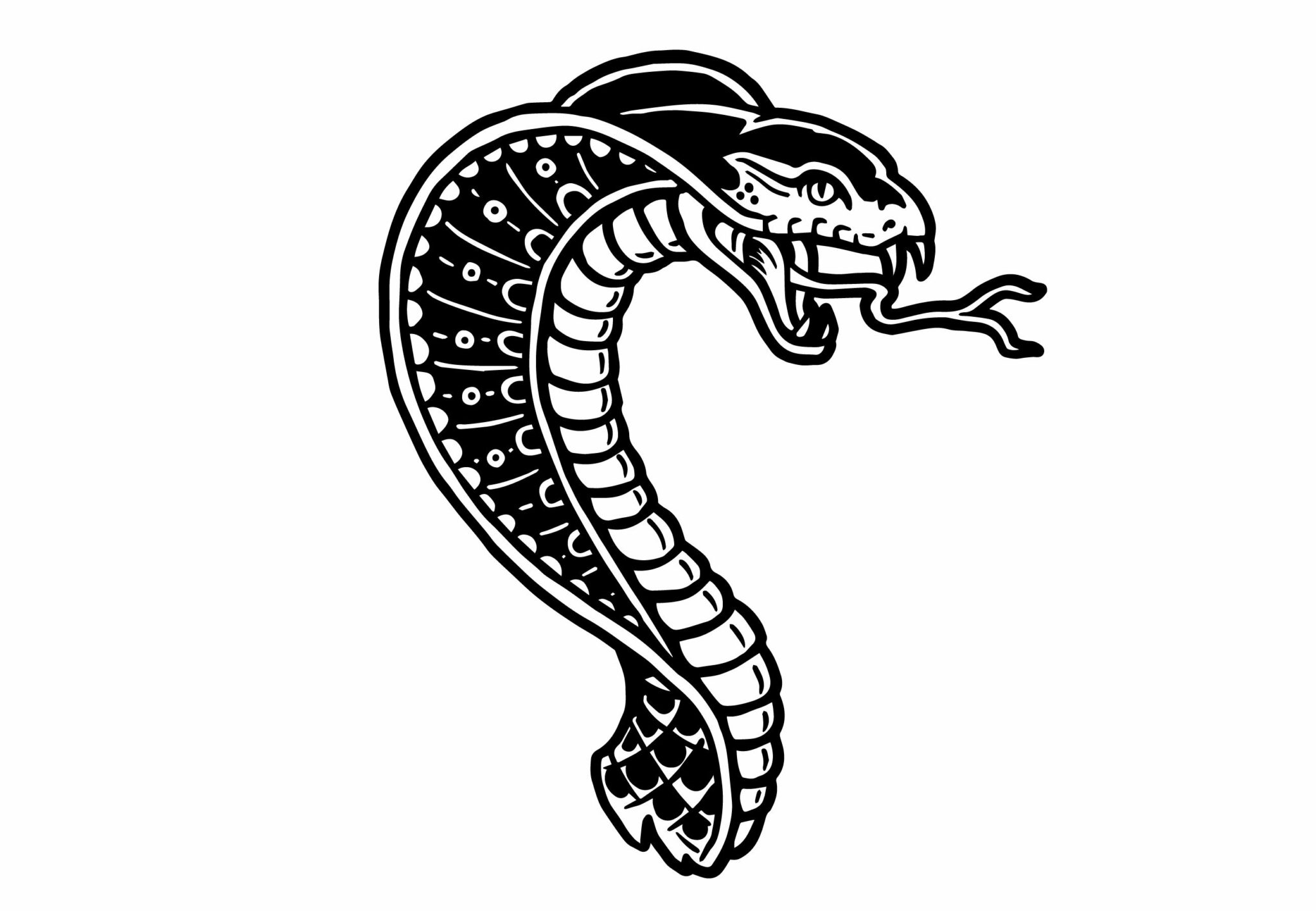 Cobra Flash – MasterBundles