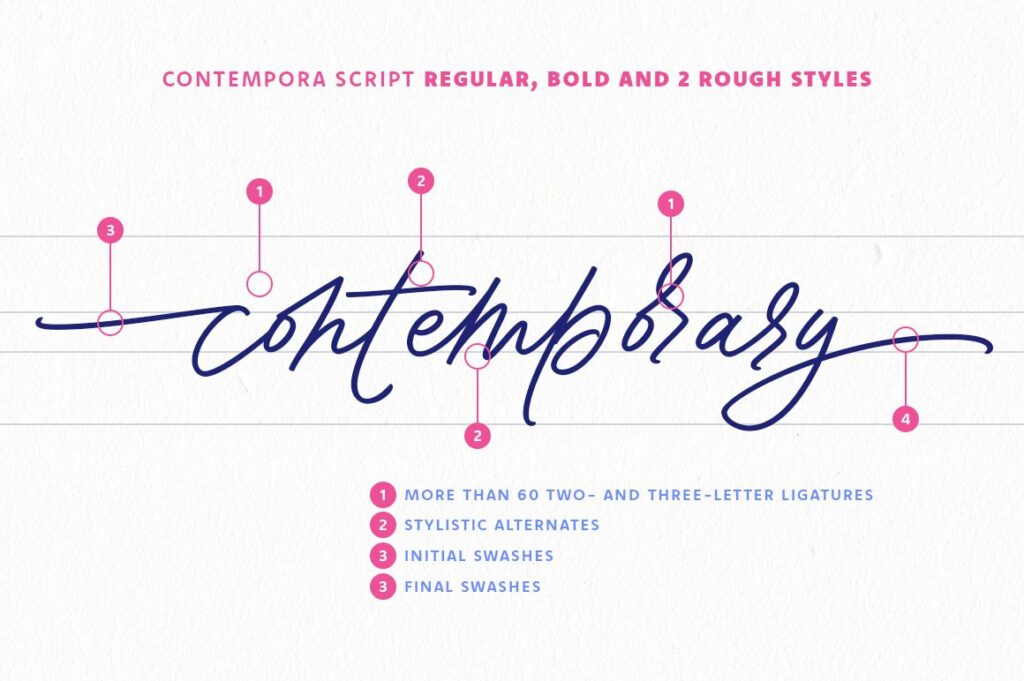 Contempora Font Family – MasterBundles