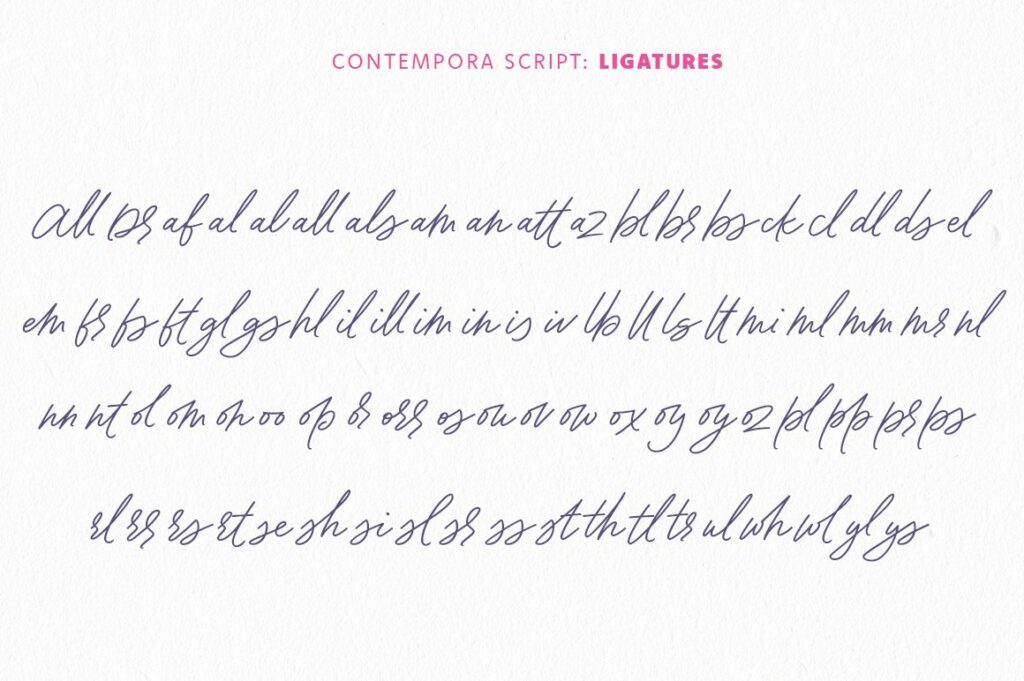 Contempora Font Family – MasterBundles