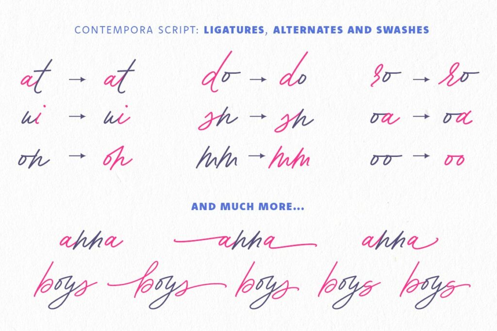 Contempora Font Family – MasterBundles