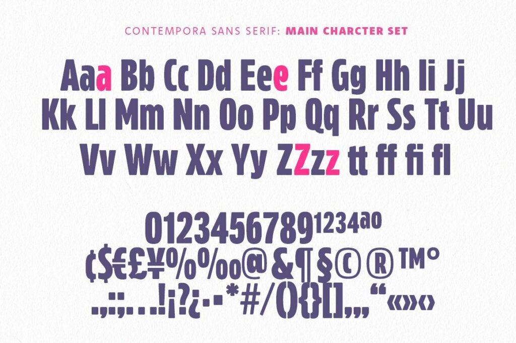 Contempora Font Family – MasterBundles