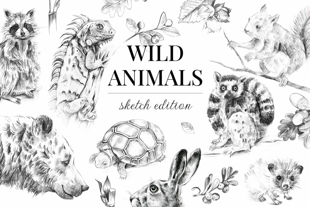 Wild animals. Sketch edition. 22 PNG – MasterBundles