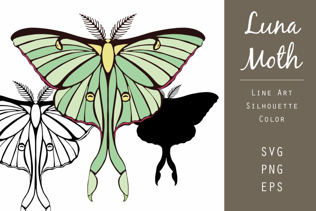 Luna Moth Vector Graphic Set – MasterBundles