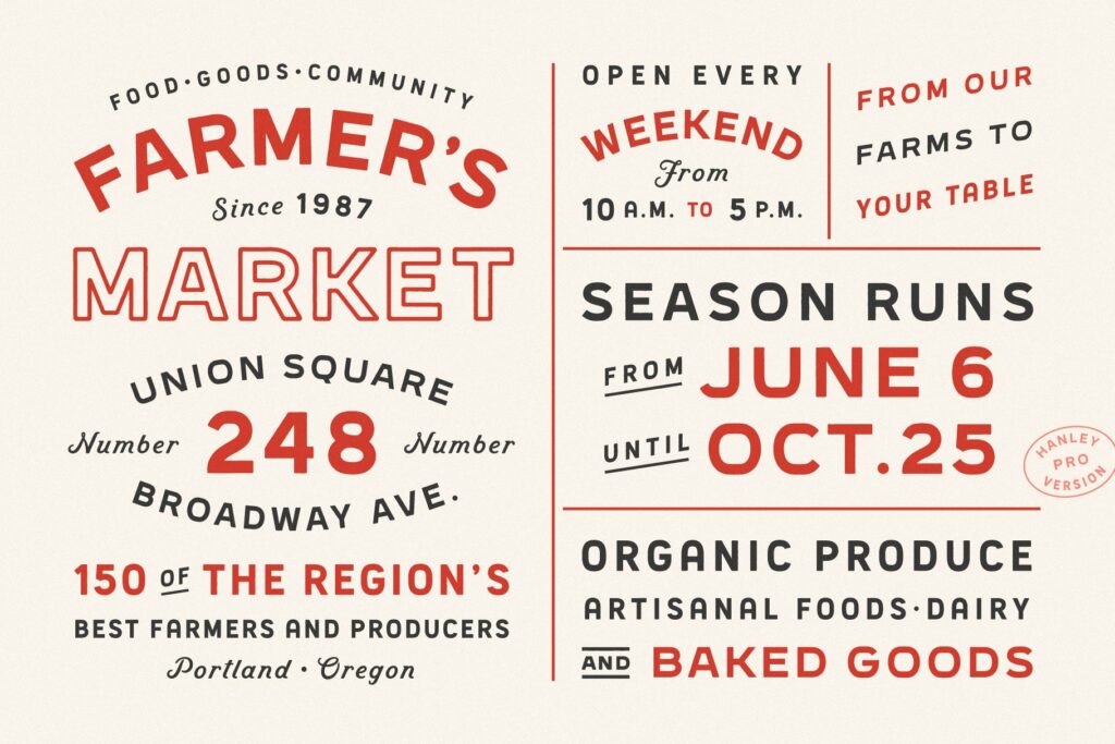 Hanley Pro Font Collection – MasterBundles