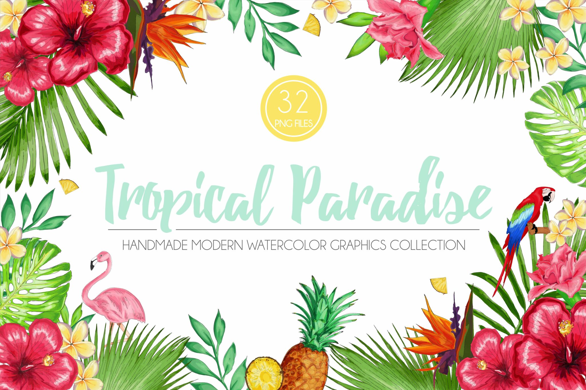Tropical Paradise Graphic Set – MasterBundles