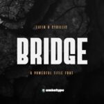 Technoise Font – MasterBundles