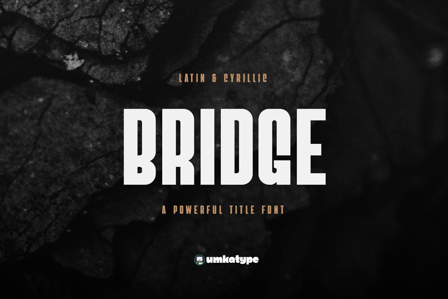 Bridge - Sans Serif Font – MasterBundles