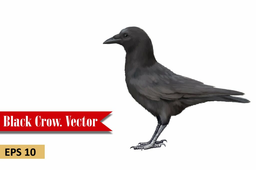 Crow. Side view. Vector – MasterBundles