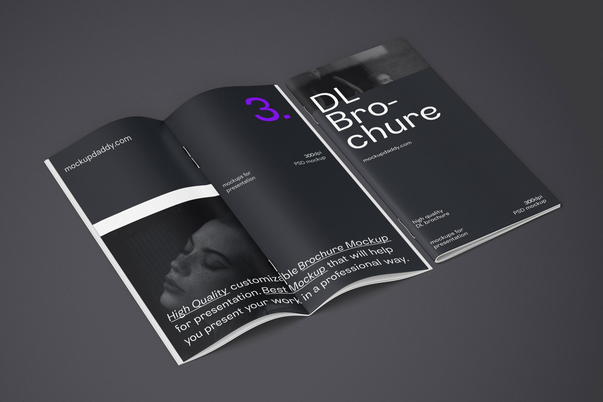DL Vertical Brochure Mockup – MasterBundles