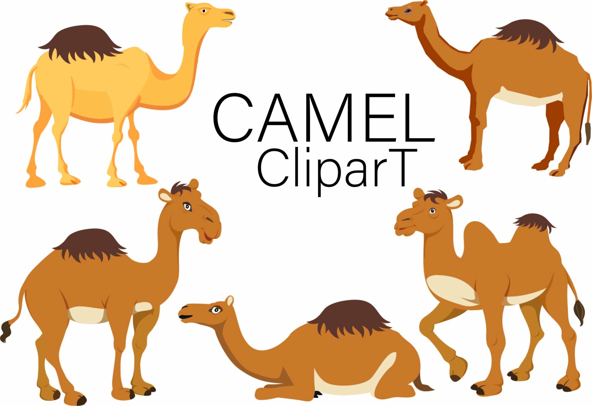 Camel clipart – MasterBundles