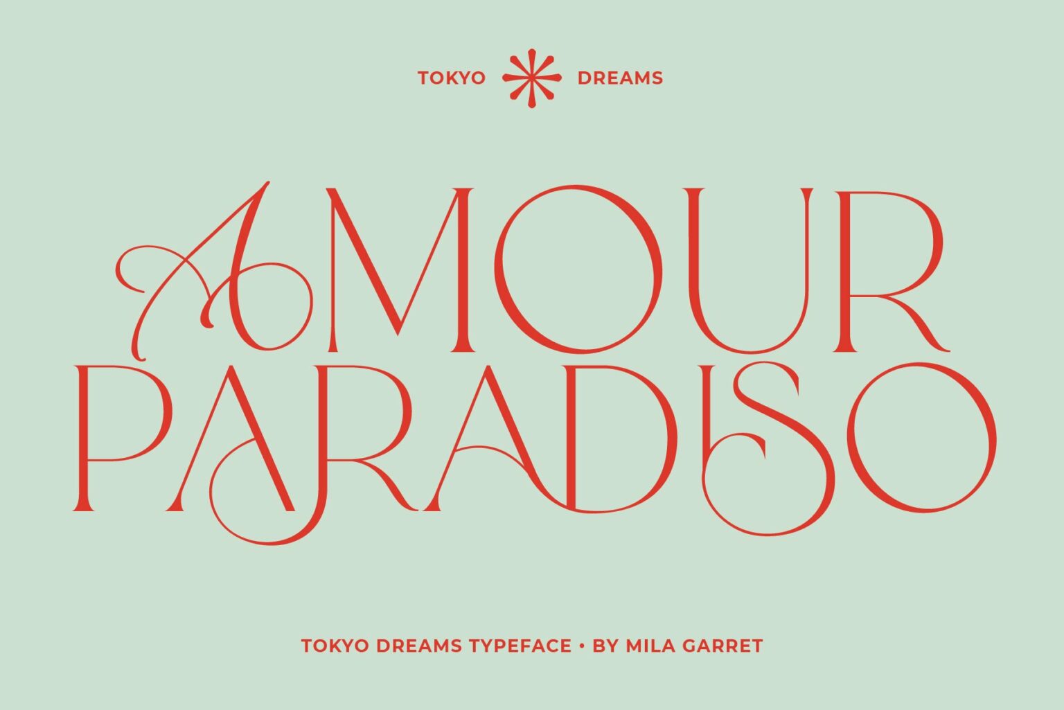 Tokyo Dreams Display Ligature Serif – MasterBundles
