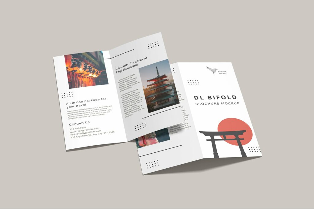 DL Bifold Brochure Mockup – MasterBundles