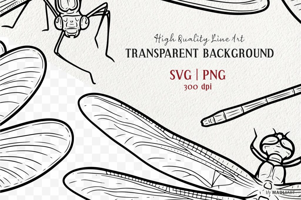 Dragonfly Vector Line Art Set – MasterBundles