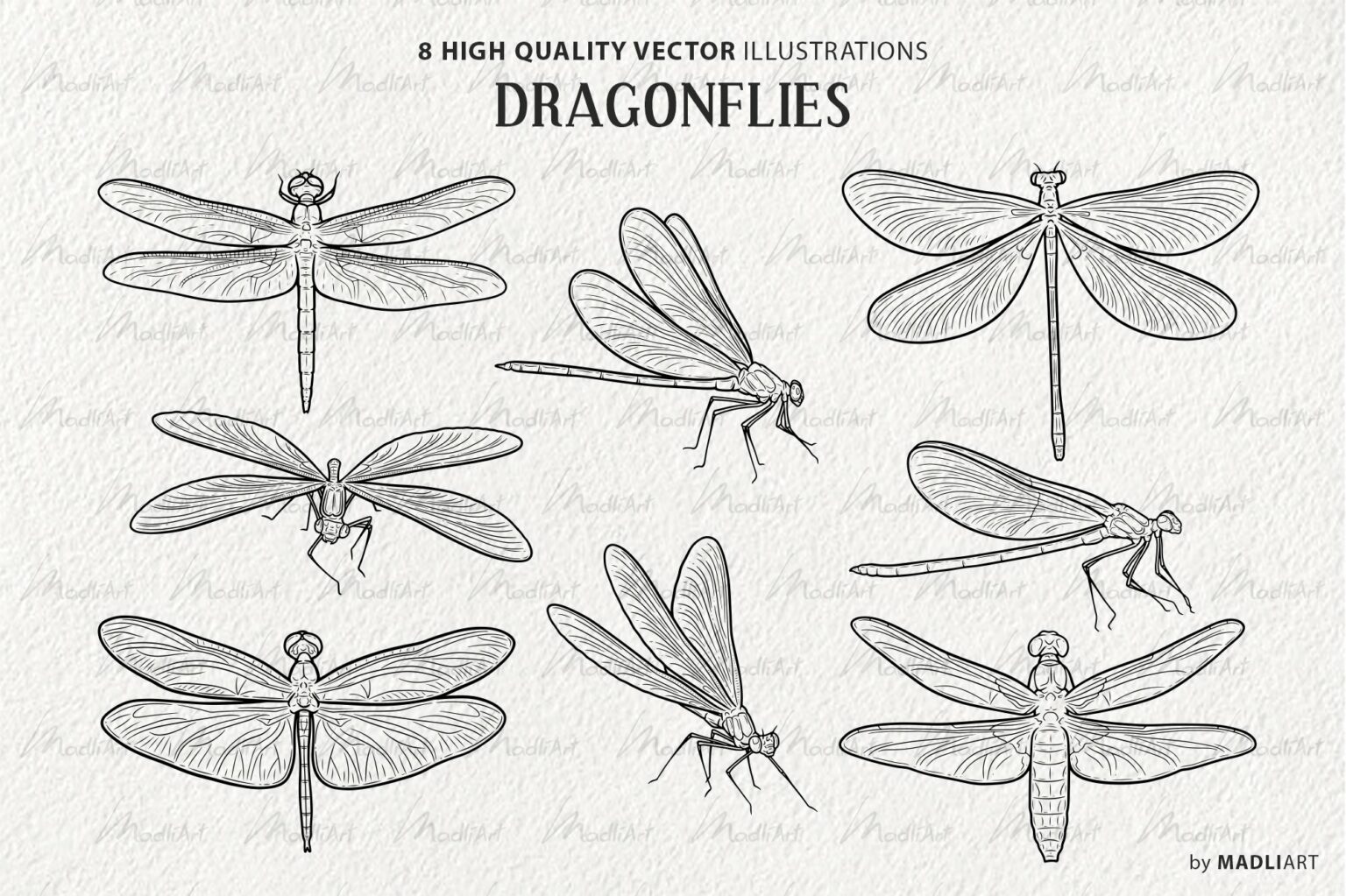 Dragonfly Vector Line Art Set – MasterBundles