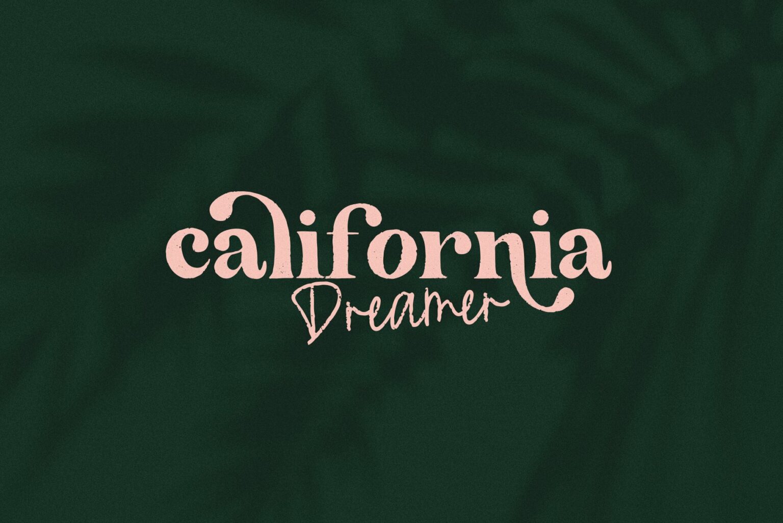 The California | Serif Font Duo – MasterBundles
