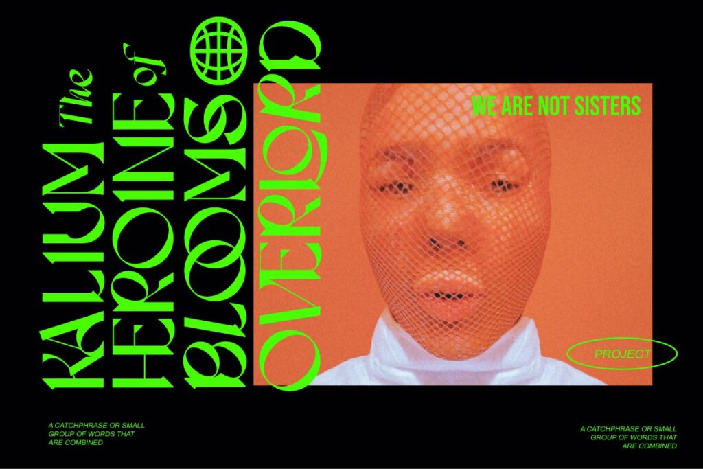 Dx Sitrus - Variable Display Font – MasterBundles