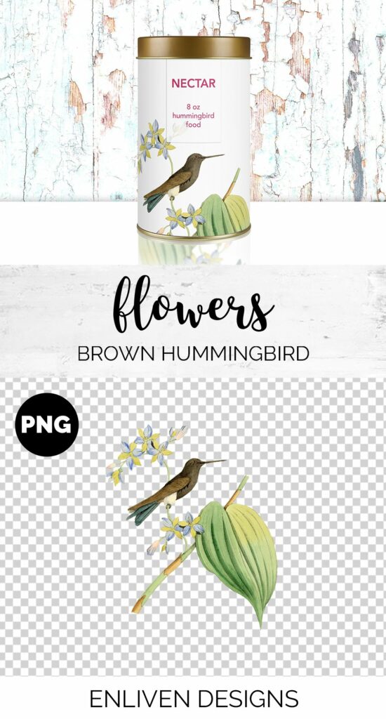 Hummingbird Clipart Vintage – MasterBundles