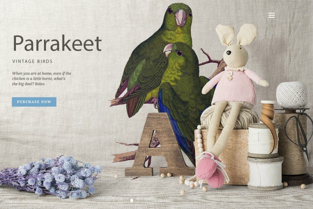 Parrot Parrakeet Parrot – MasterBundles