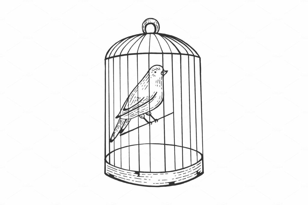 Canary bird in cage engraving vector – MasterBundles