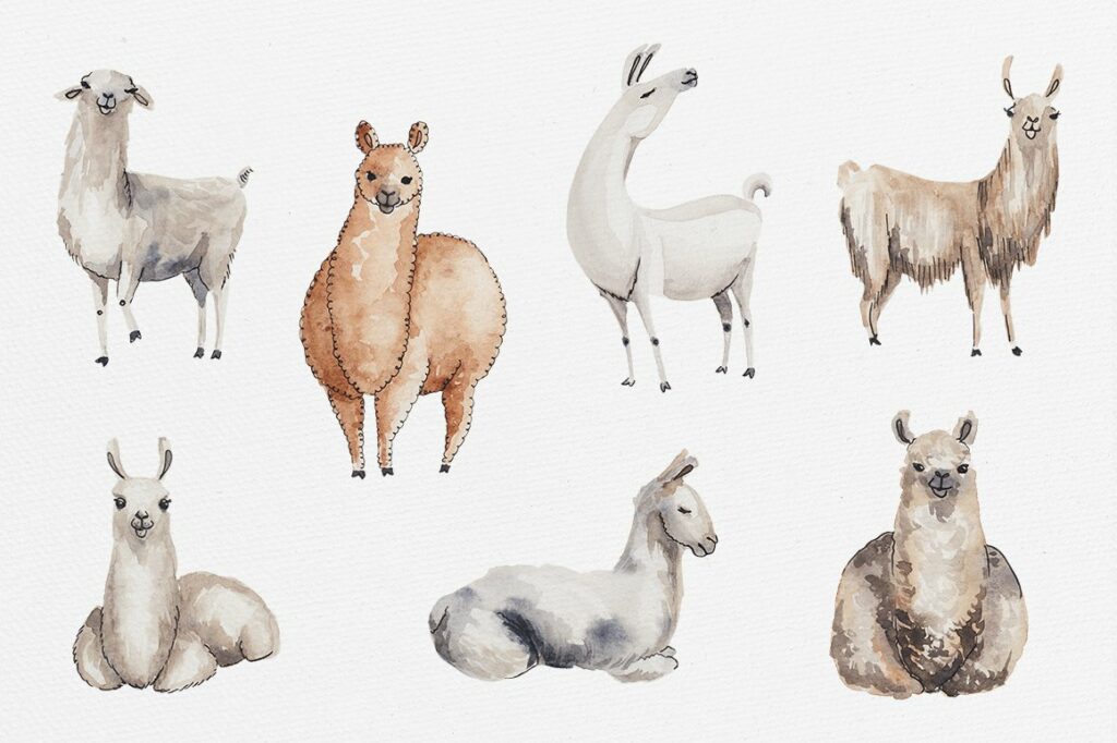 Watercolor Llamas + 2 Patterns – MasterBundles