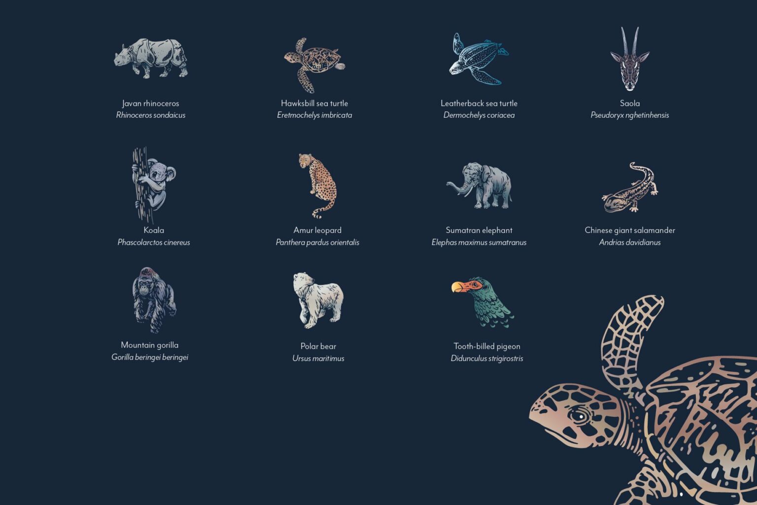 Endangered Animals Illustrations – MasterBundles
