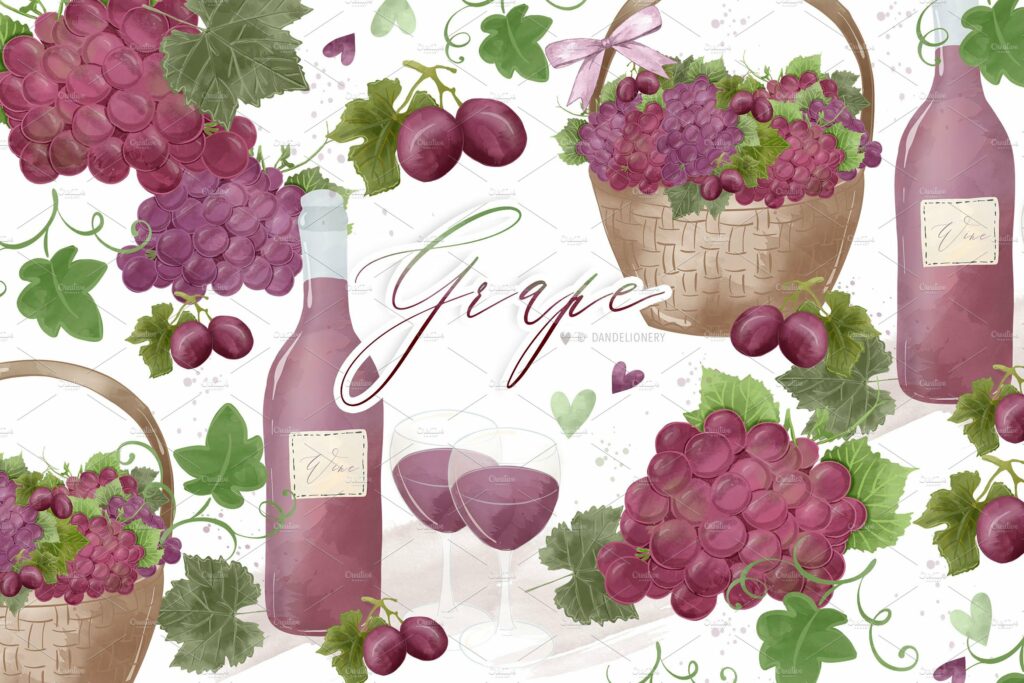 Grape design – MasterBundles
