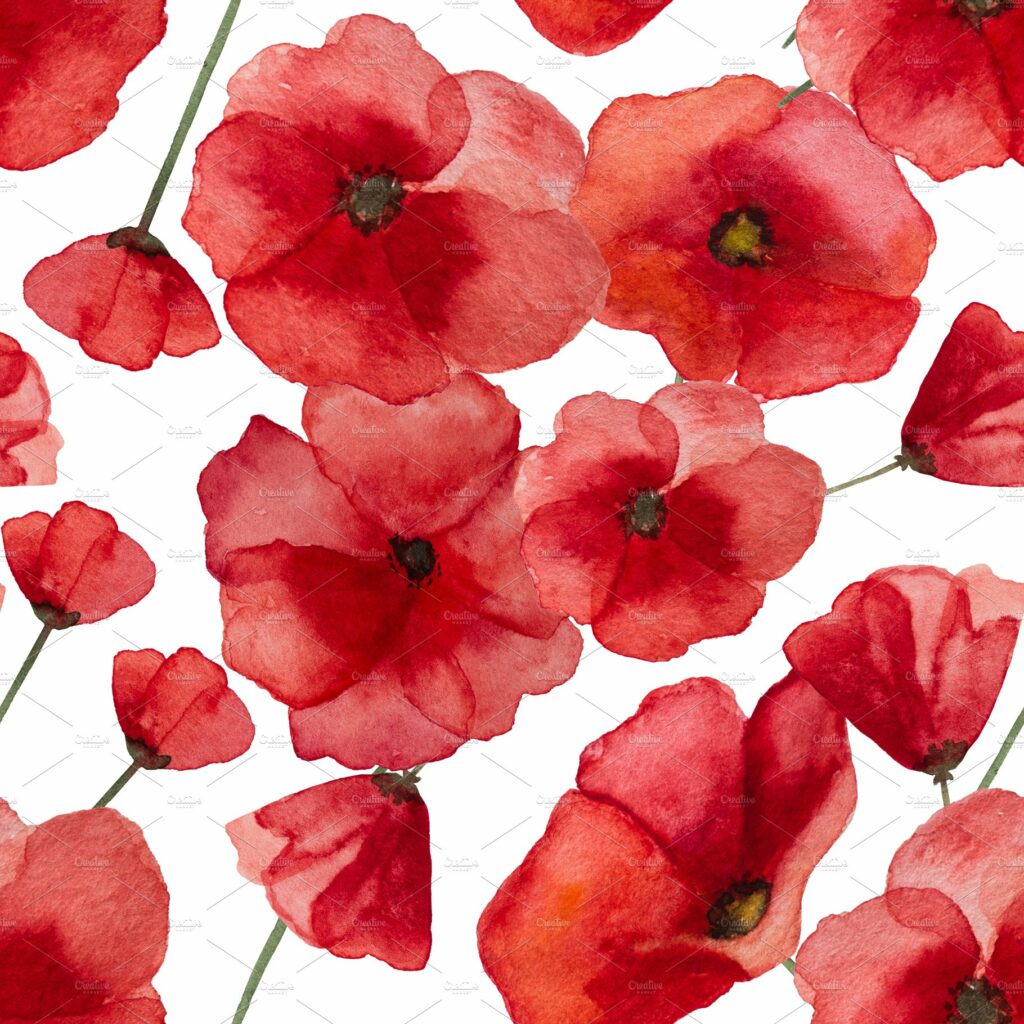 Beautiful picture of poppy flowers. Happy Remembrance Day – MasterBundles