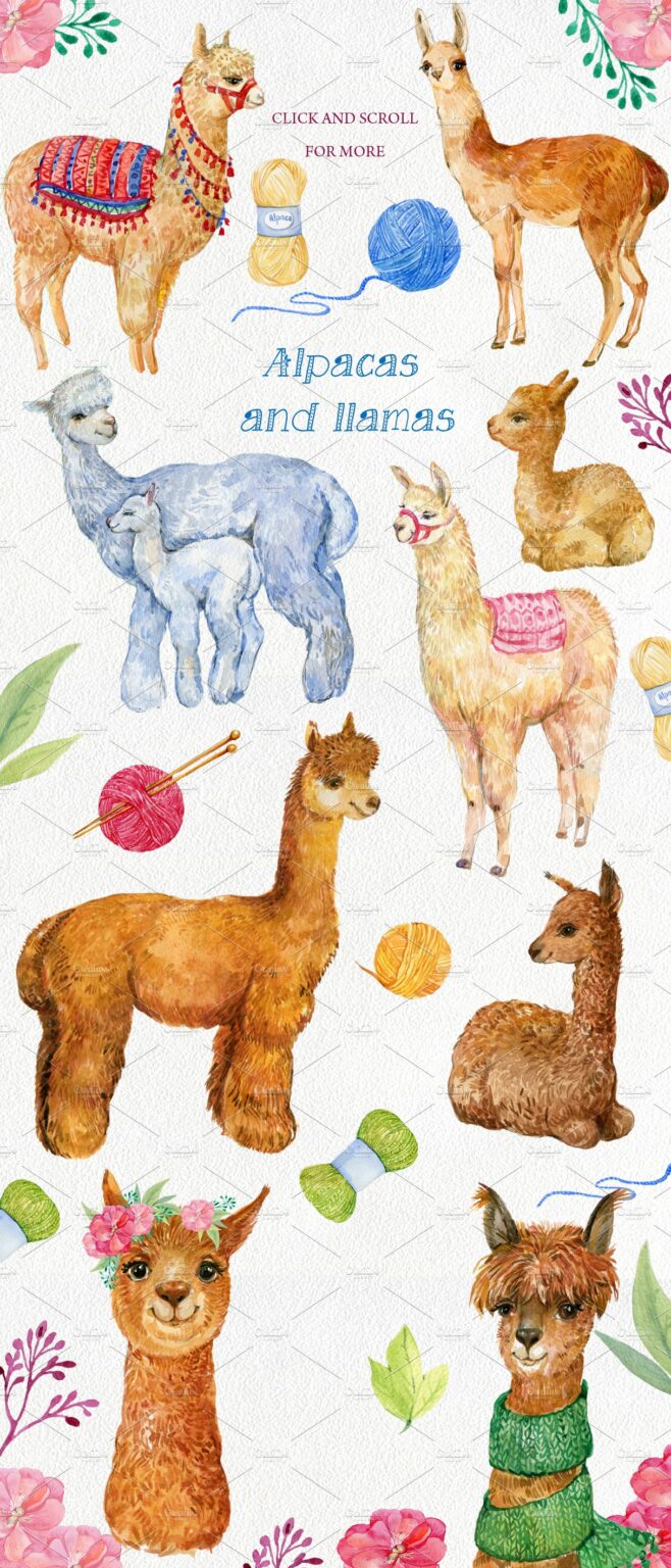 Alpacas and llamas .watercolor – MasterBundles
