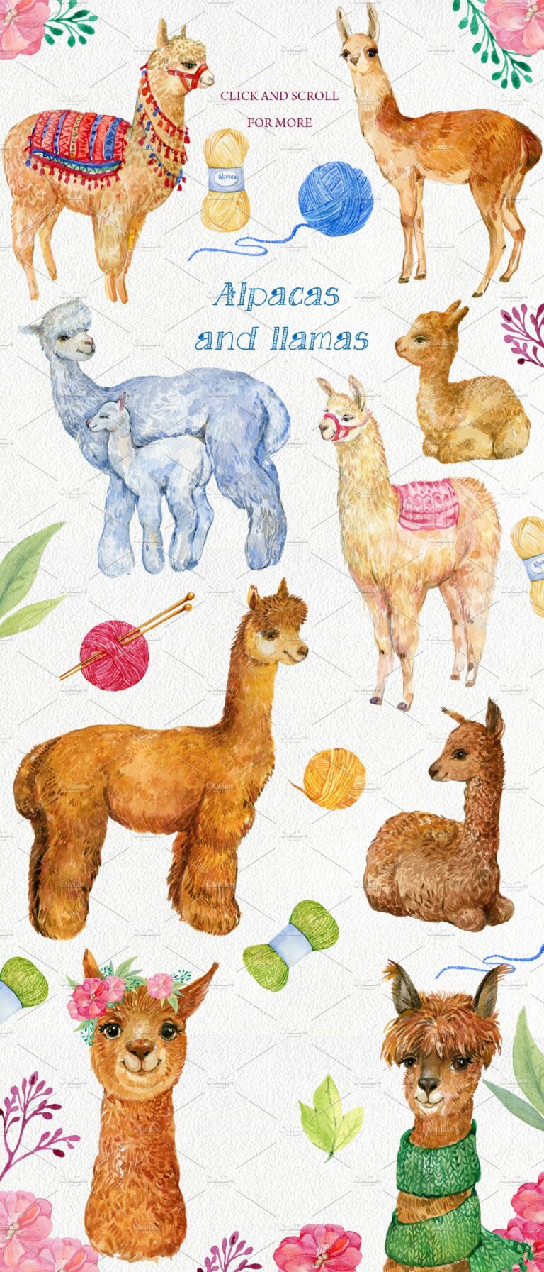 Alpacas and llamas .watercolor – MasterBundles