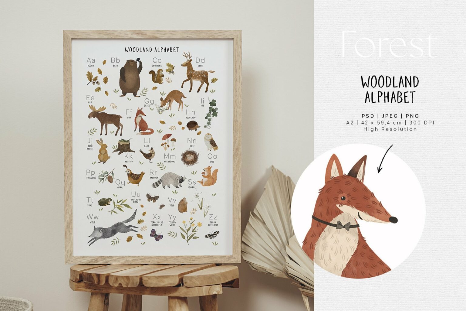 Forest animals. Alphabet & Patterns – MasterBundles