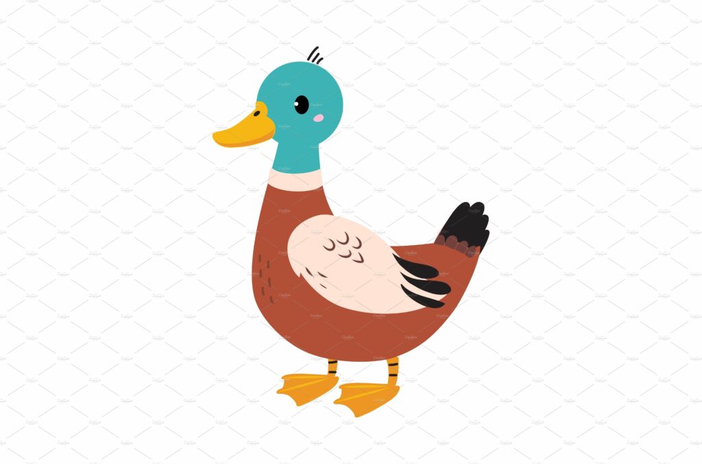 Feathered Duck as Farm Bird – MasterBundles