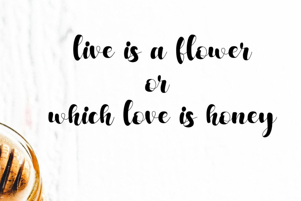 honey buddy | A Lovely Script Font – MasterBundles