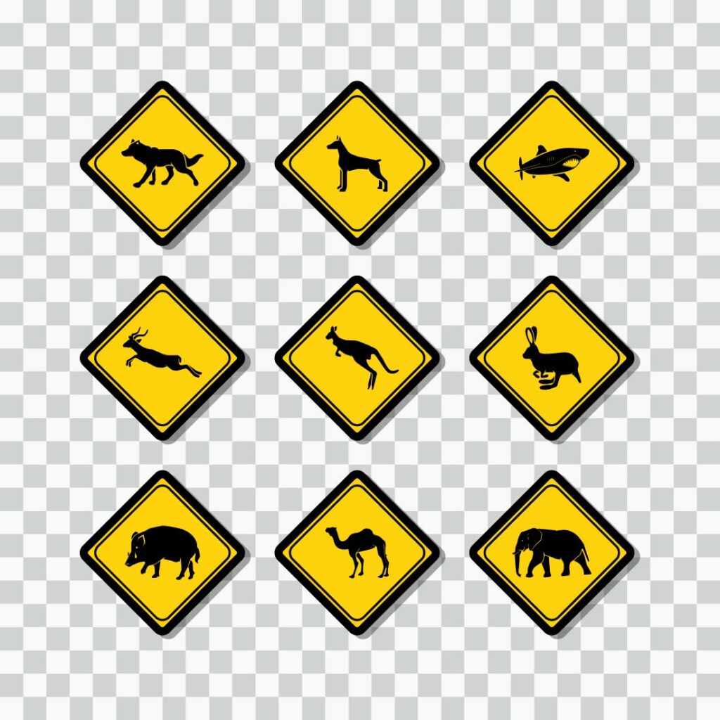 Animals zone sign and symbol graphic design vector illustration only $4 ...