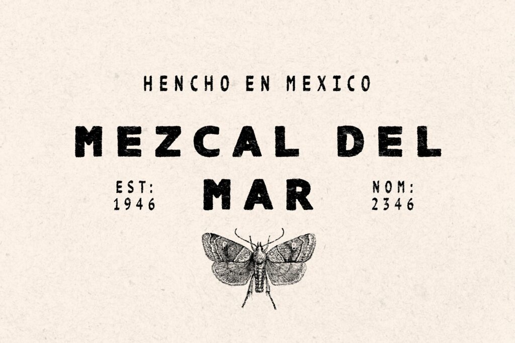 TEXTURE FONT COLLECTION (10 fonts) – MasterBundles