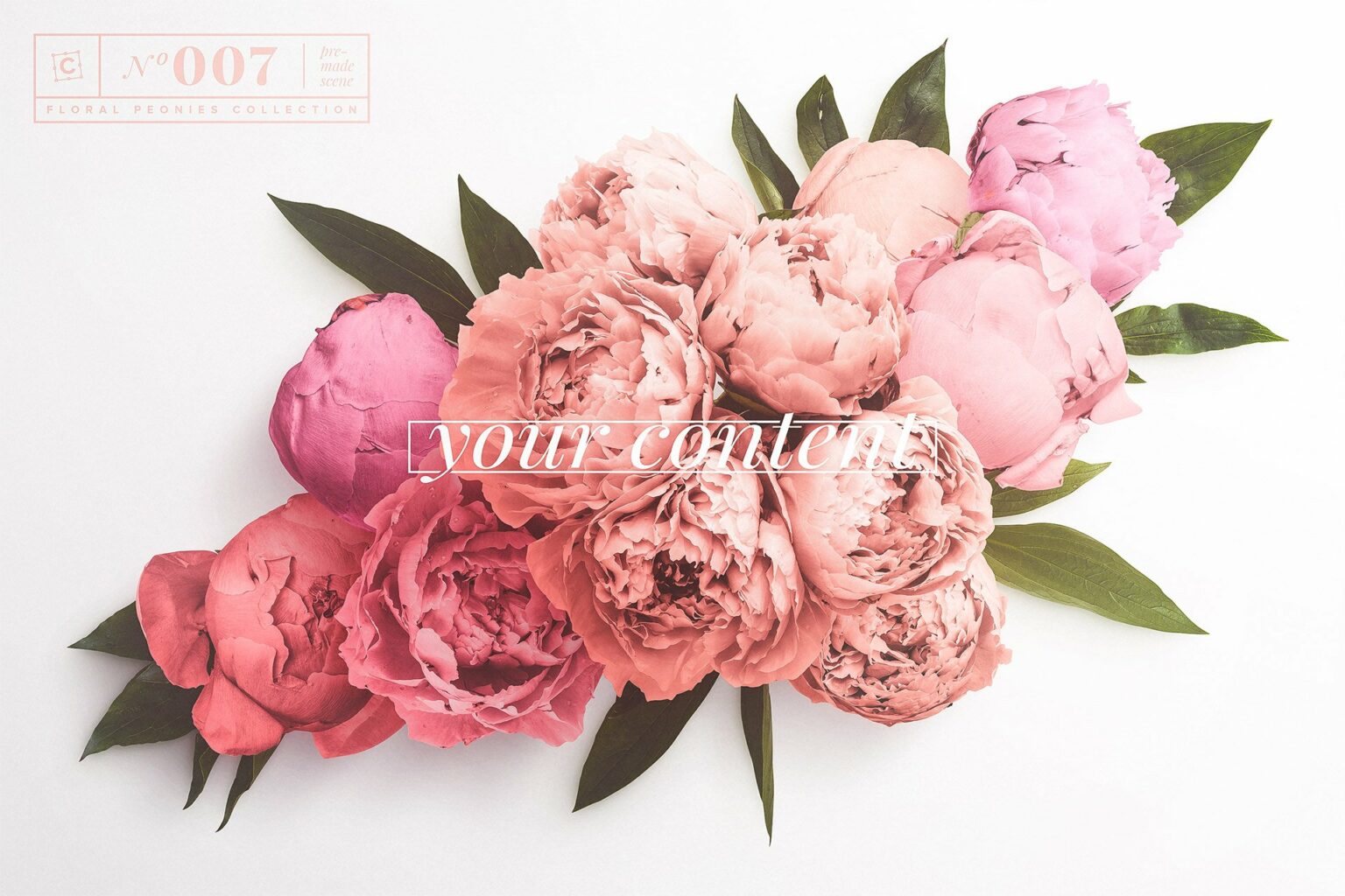 Floral Peonies Collection – MasterBundles