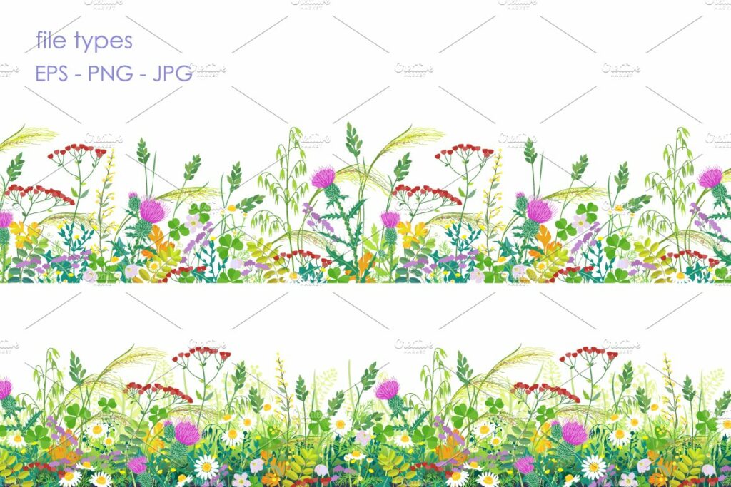 Summer Meadow Plants and Insects – MasterBundles