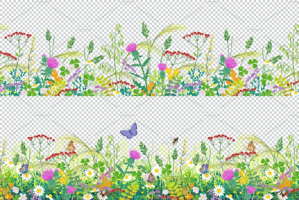 Summer Meadow Plants and Insects – MasterBundles