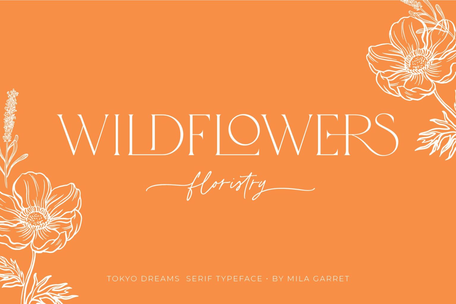 Tokyo Dreams Display Ligature Serif – MasterBundles