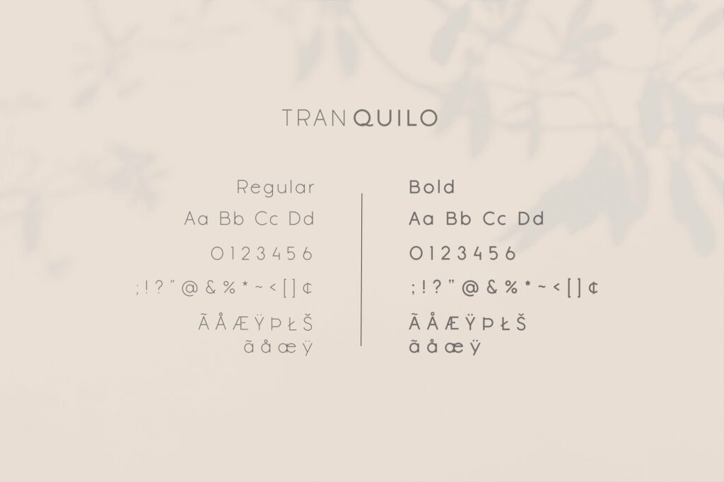 Tranquilo Boho | Font Duo – MasterBundles