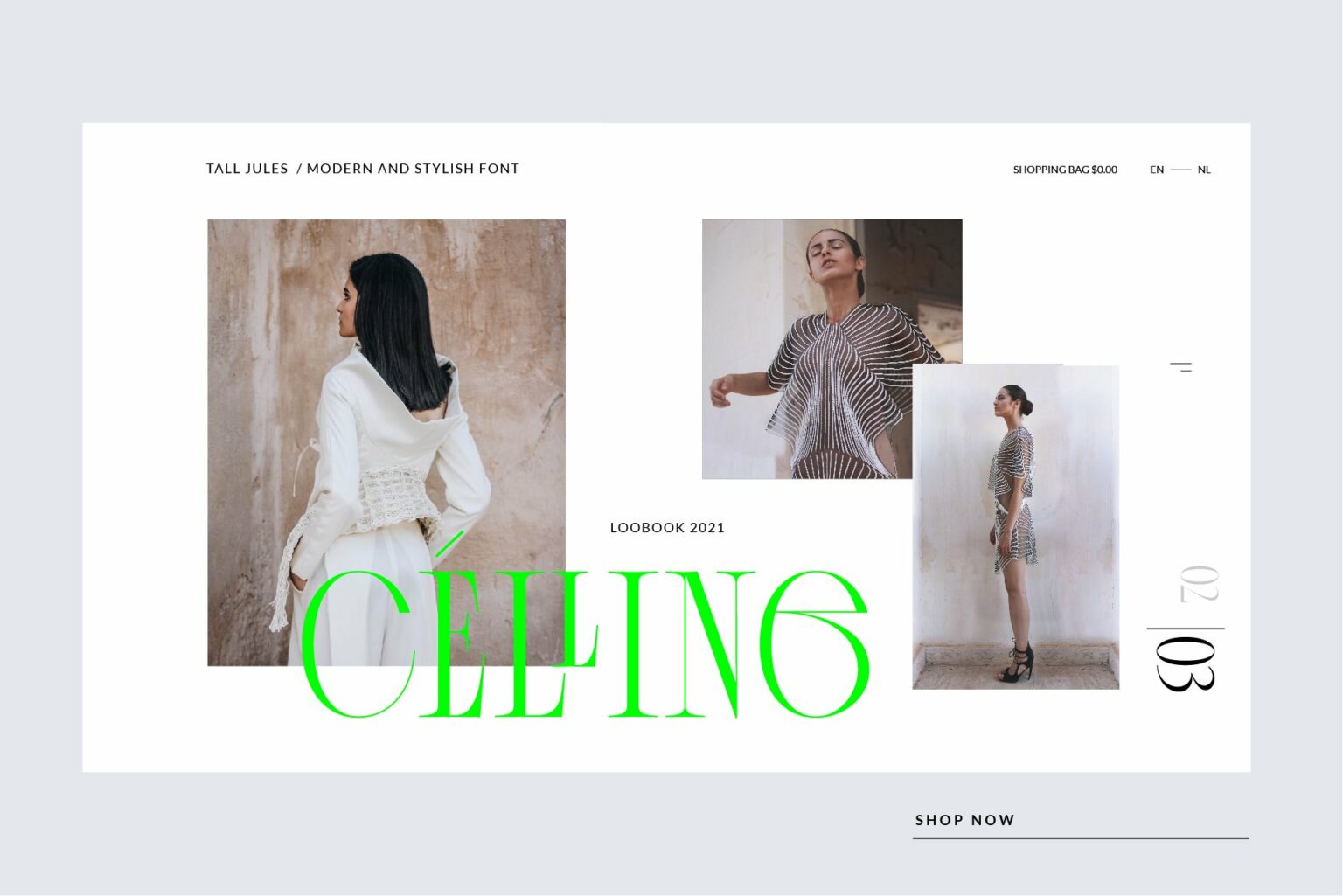 Tall Jules Modern and Stylish Font – MasterBundles