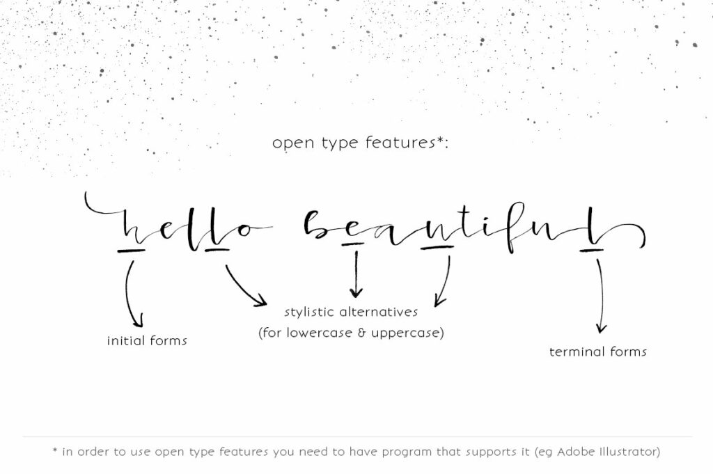 Lancaster - calligraphic font – MasterBundles