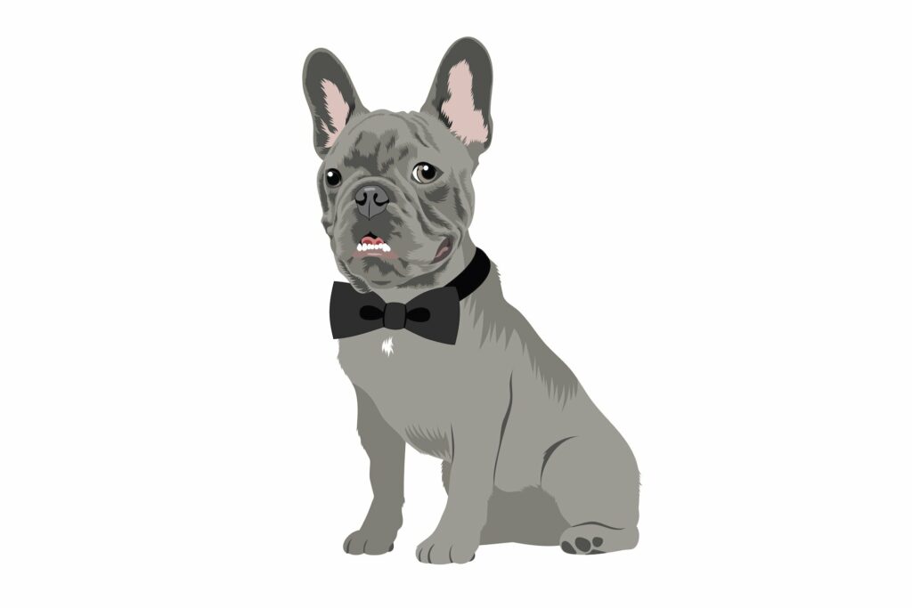 French Bulldog Vector Illustrations – MasterBundles