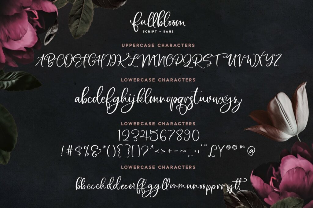 Fullbloom Font Duo – MasterBundles