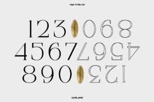 TAN - GARLAND – MasterBundles