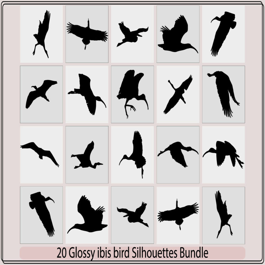 Glossy ibis bird silhouette,Glossy ibis bird silhouette bundle,Glossy ...