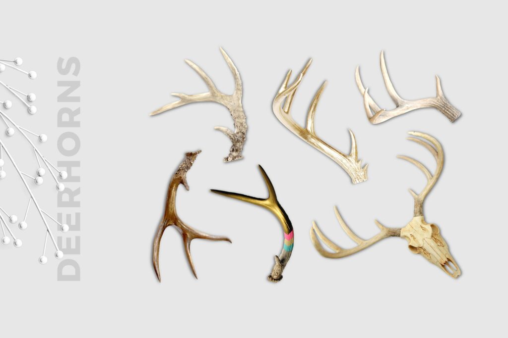 Scene Creator Esoteric Mockup – MasterBundles