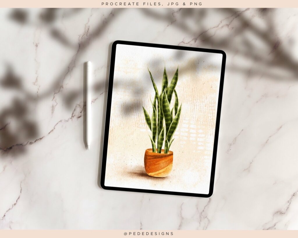 3 iPad mockups for Procreate – MasterBundles