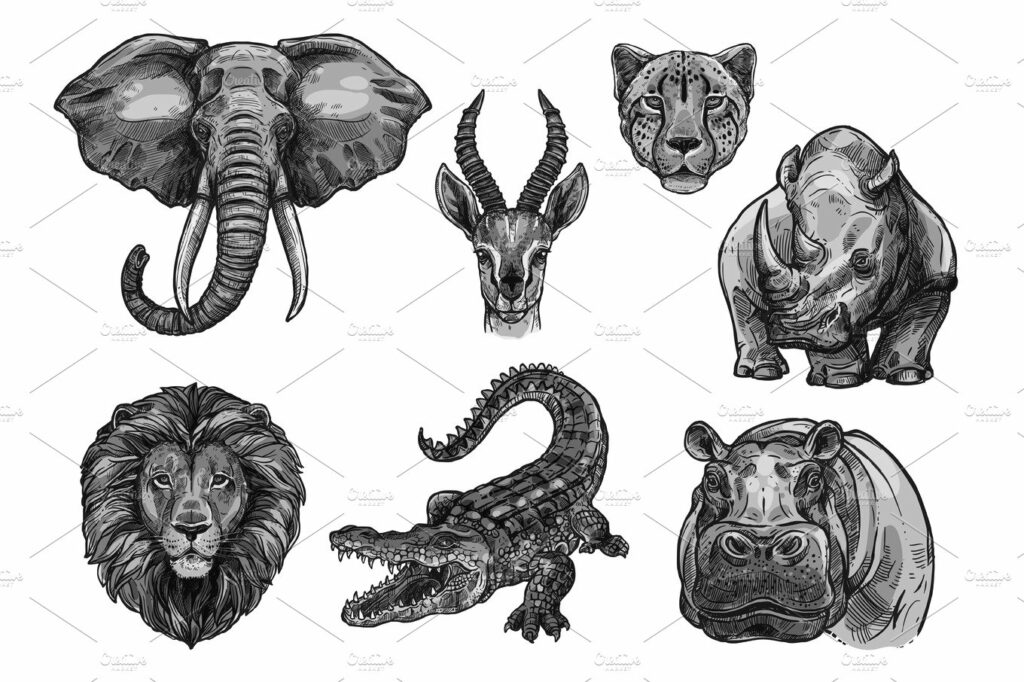 Wild animals vector sketch icons for African zoo – MasterBundles