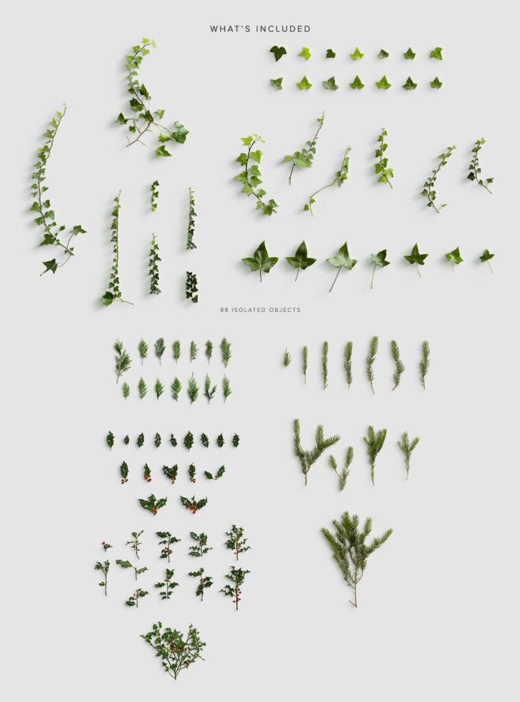 Evergreen & Fir Tree Scene Creator – MasterBundles