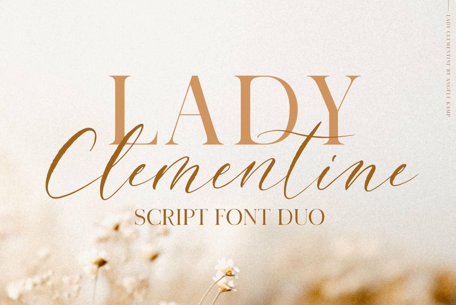 Lady Clementine script font & serif – MasterBundles